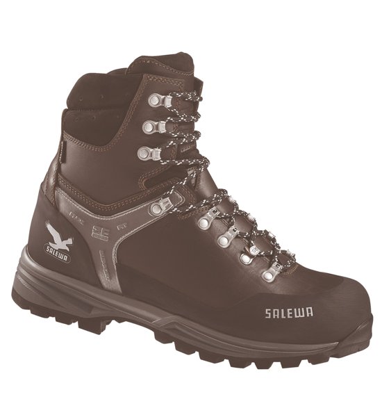 Salewa Eagle EVO LGTX (M) | Sportler.com
